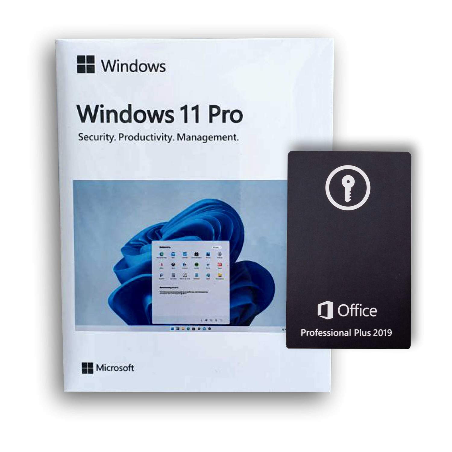 Microsoft Windows 11 Pro (BOX) + Microsoft Office 2019 Pro Plus, купить ...