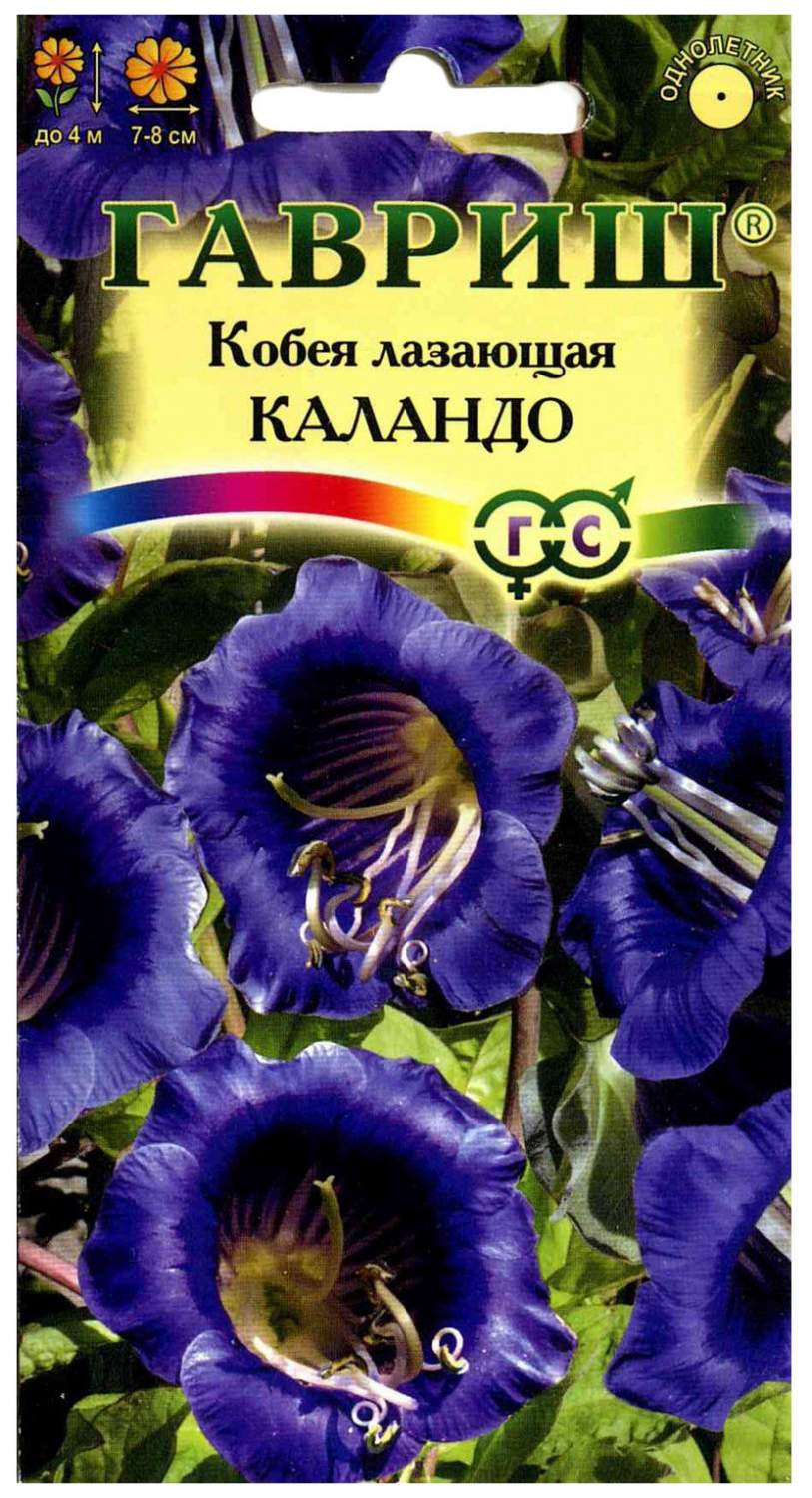 Кобея Семена Фото – Telegraph