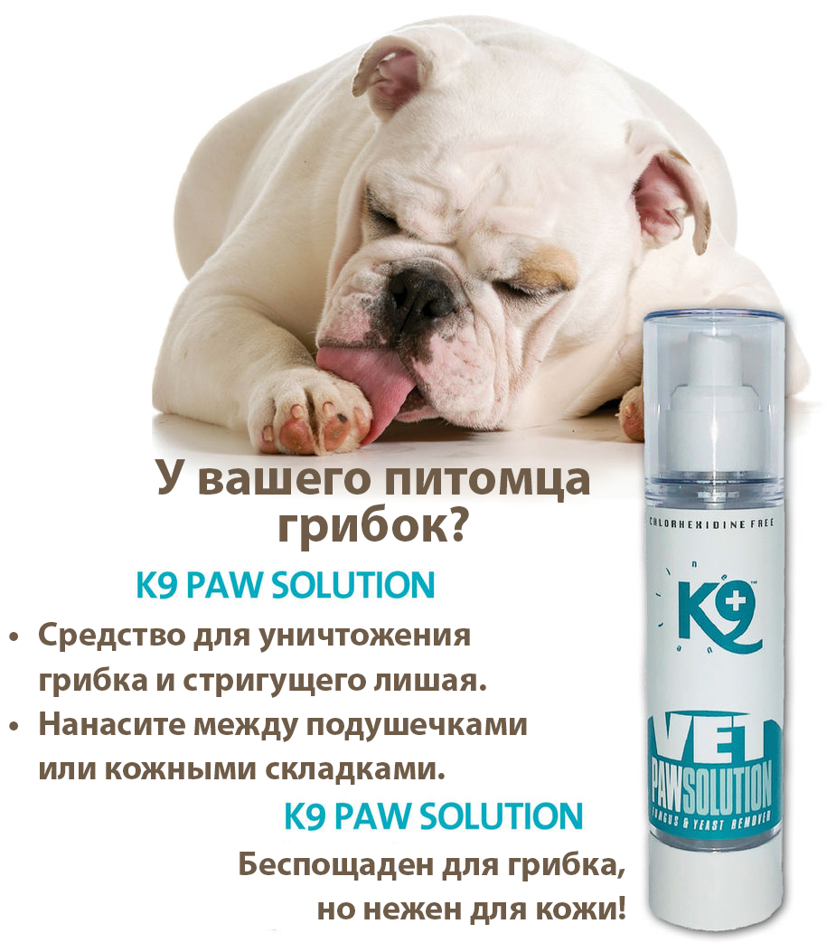 Средство от грибка для собак - Dbr-yakutia.ru