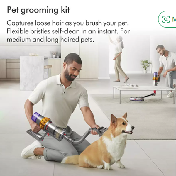 Dyson for pets store