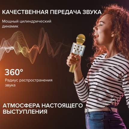 Караоке микрофоны - купить микрофон для караоке в Москве, цены интернет ...