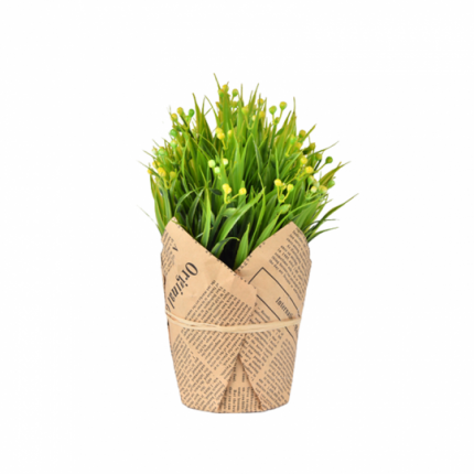 Home Collection - купить товары бренда Home Collection, официальный ...