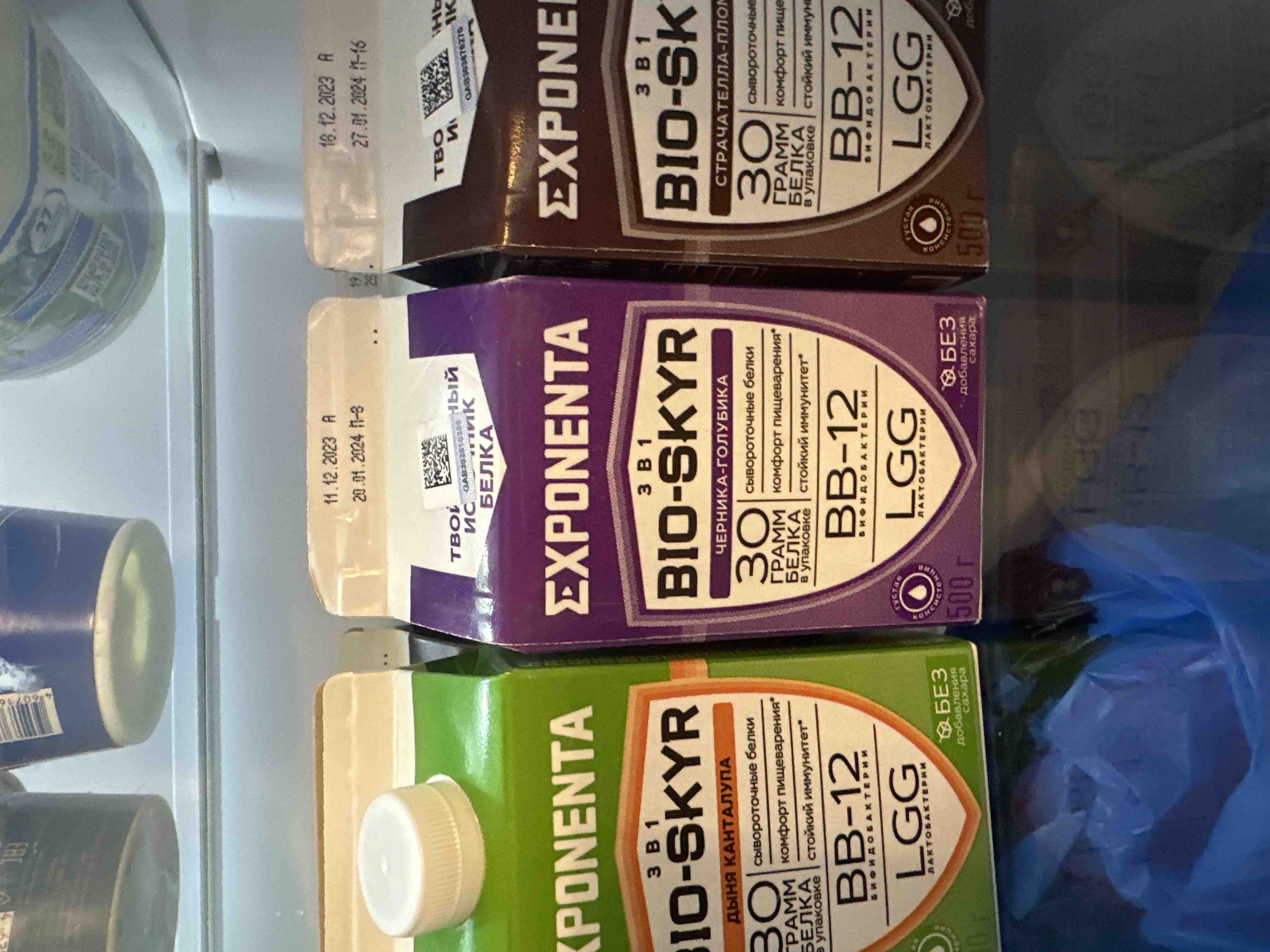 Купить напиток Exponenta BIO-SKYR 3в1 кисломолочный обезжиренный черника-голубика 500 г, цены на ...